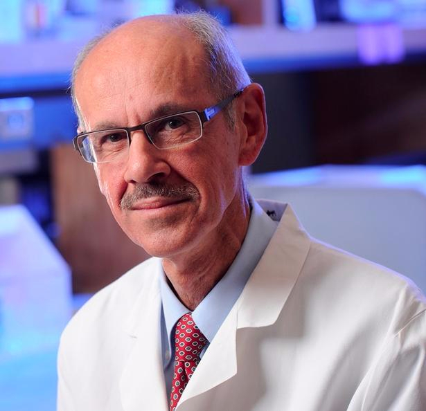 Molecular and Translational Biomedicine - Anesthesiology and ...